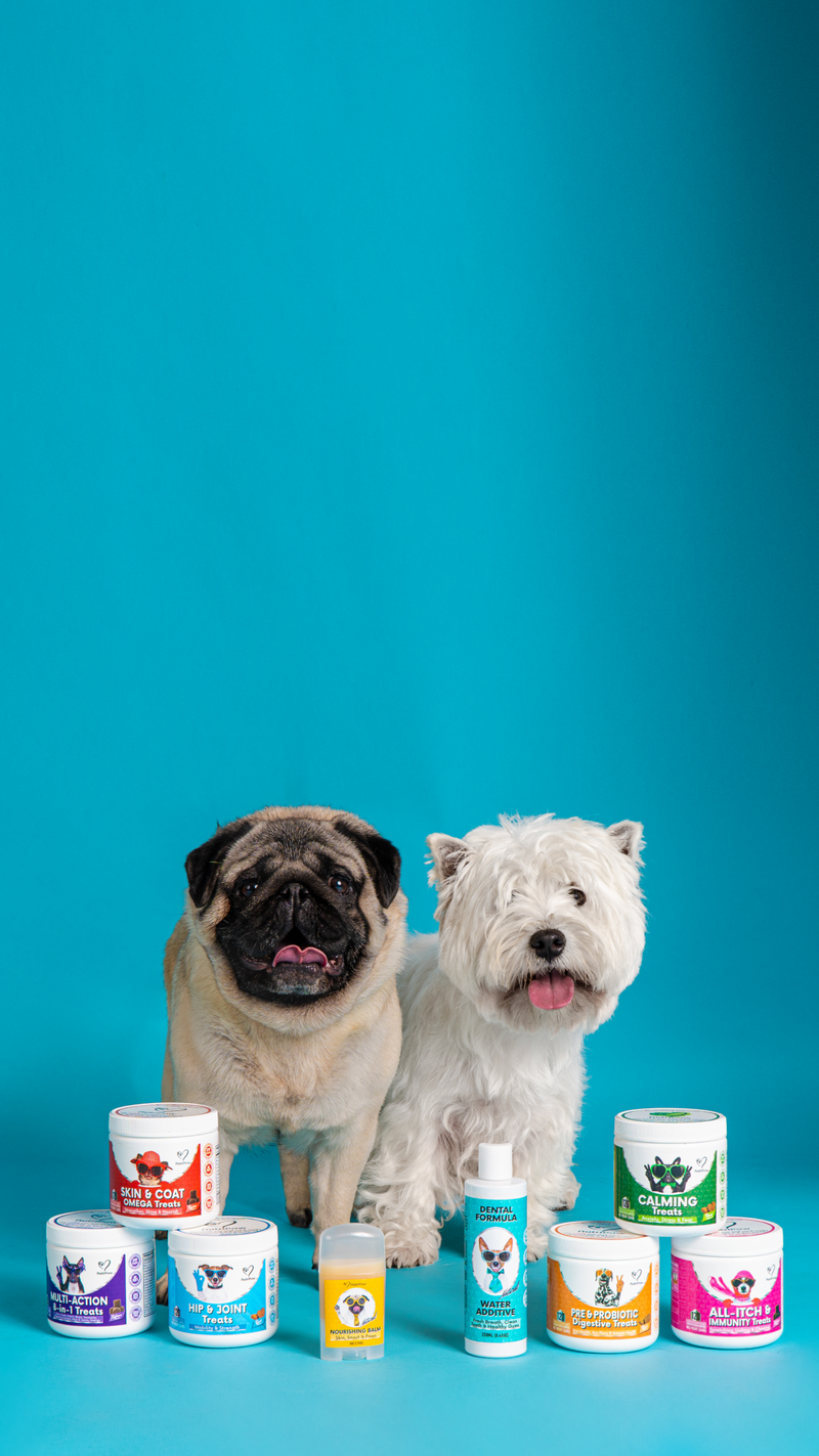 NutriPaw - Adored By Dogs, Approved By Vets, Loved By Customers