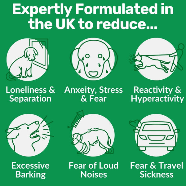 Calming Natural Treats For Dogs (Stress & Anxiety) - NutriPaw