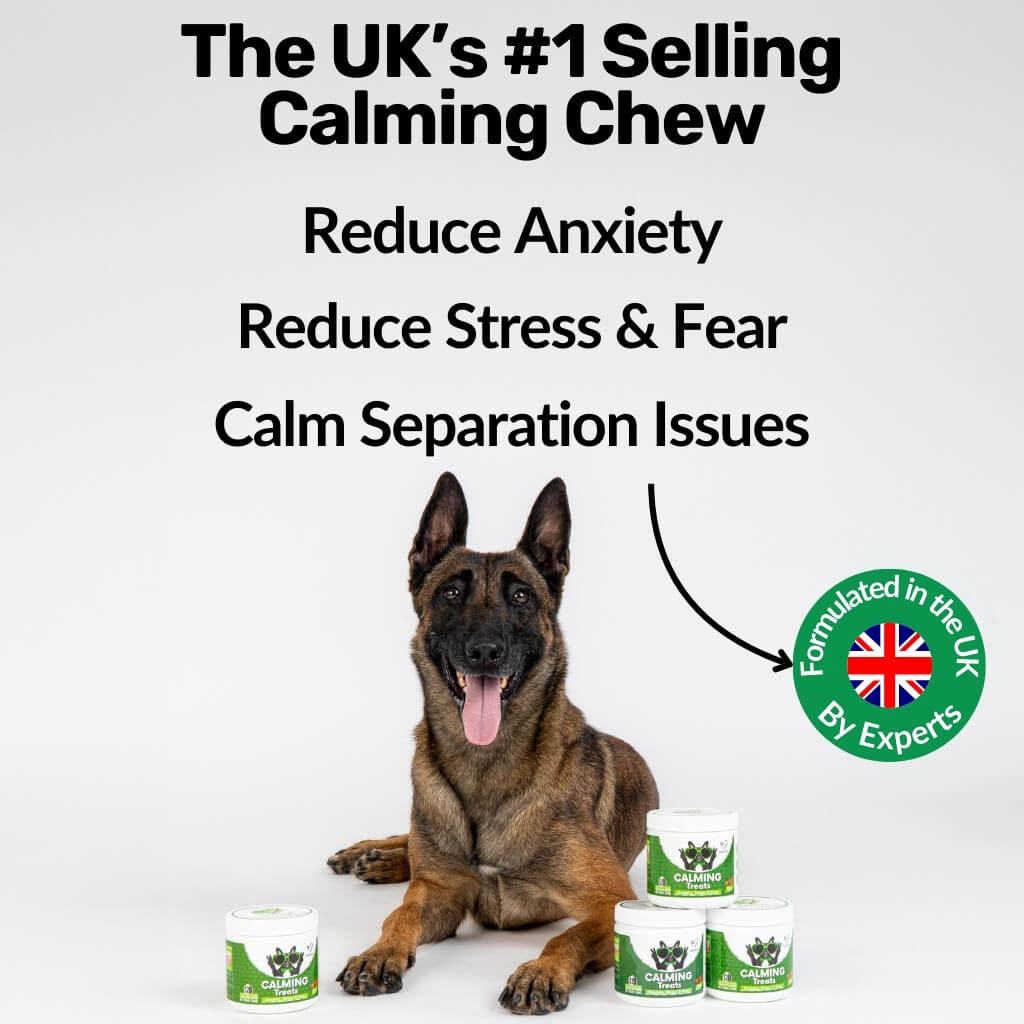 Calming Natural Treats For Dogs (Stress & Anxiety) - NutriPaw
