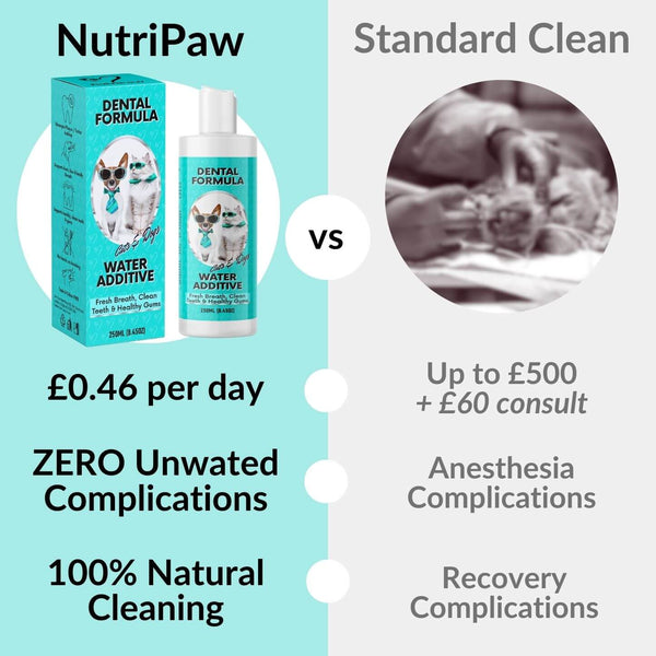 Dental Formula Water Additive - NutriPaw