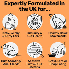 NutriPaw - Adored By Dogs, Approved By Vets, Loved By Customers