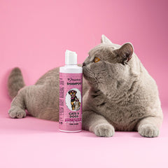 Bundle Up & SAVE! - NutriPaw