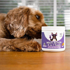 NutriPaw - Adored By Dogs, Approved By Vets, Loved By Customers