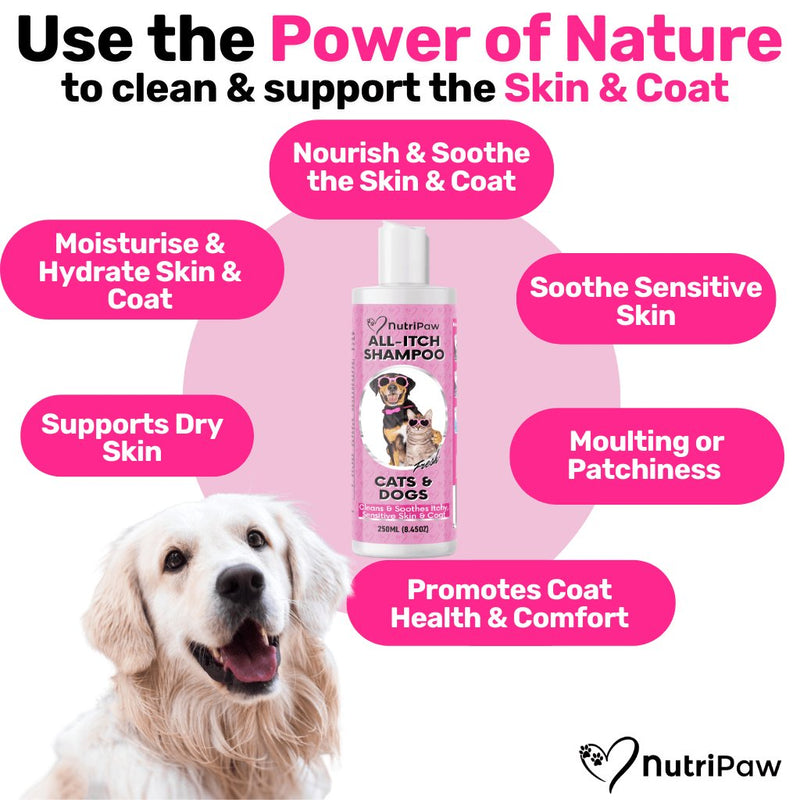 All-Itch Kit - NutriPaw