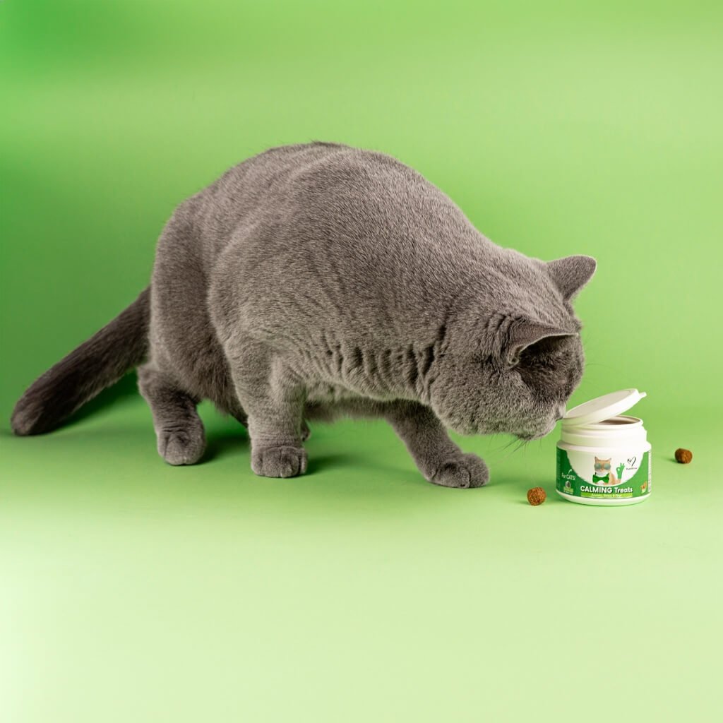 Calming Chew for Cats - NutriPaw