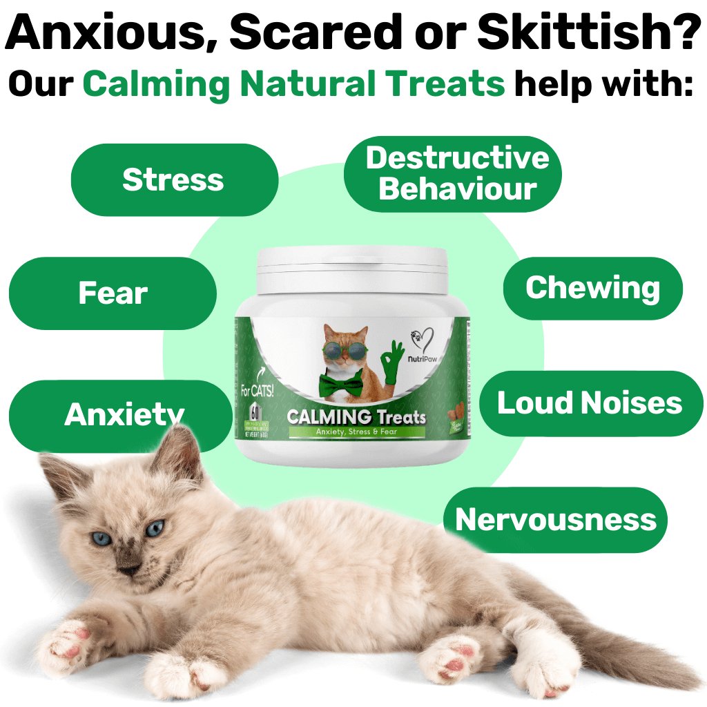 Calming Chew for Cats - NutriPaw