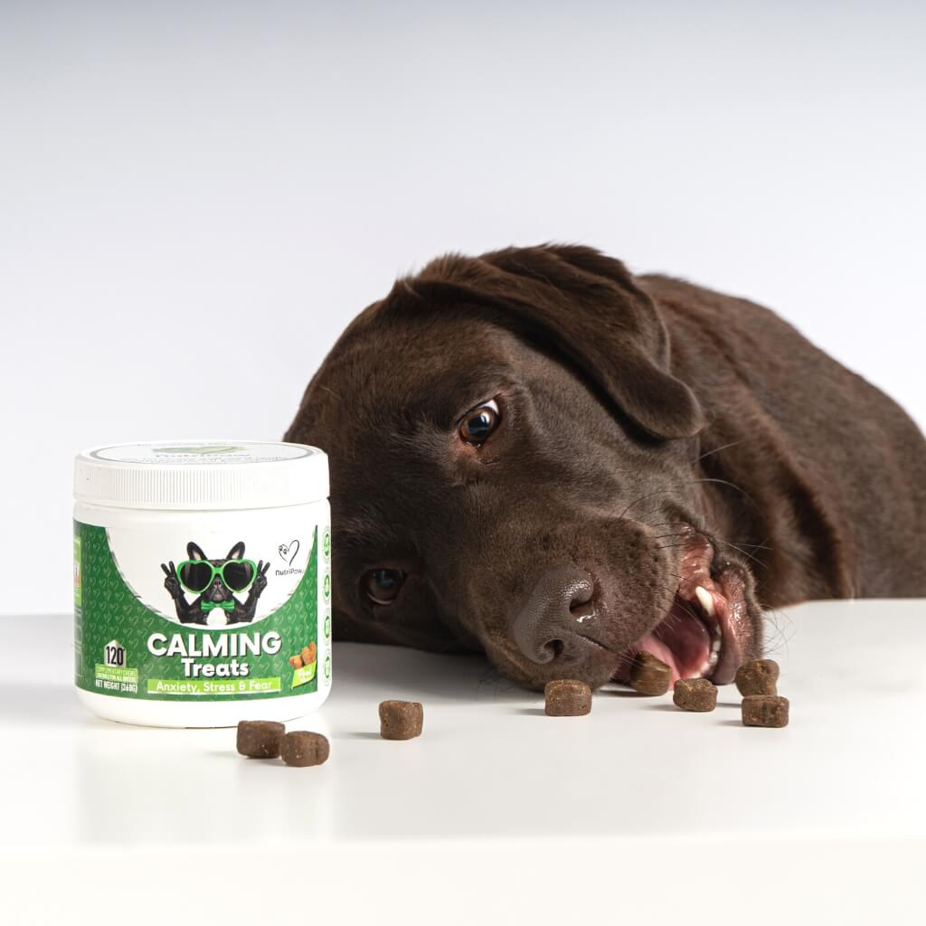 Calming Natural Treats For Dogs (Stress & Anxiety) - NutriPaw