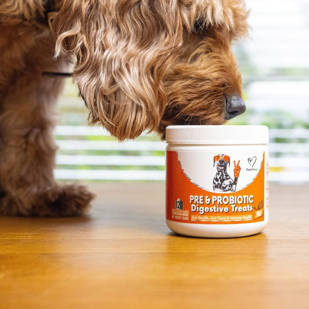 ClearEar Kit - NutriPaw