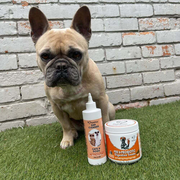 ClearEar Kit - NutriPaw