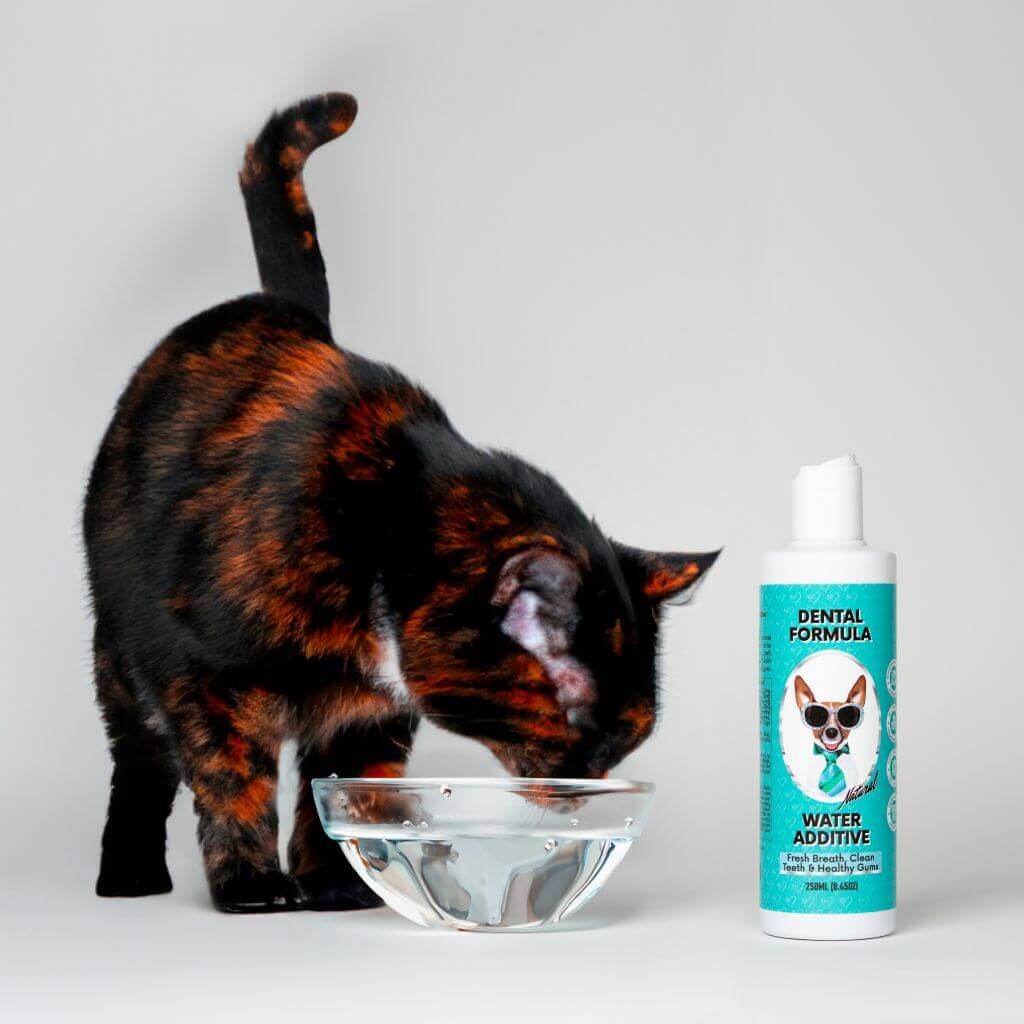 Dental Formula Water Additive - NutriPaw