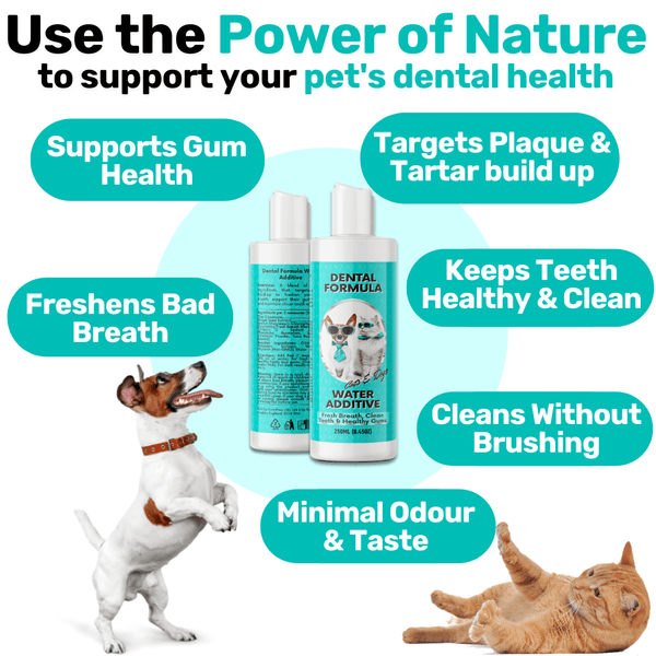 Dental Formula Water Additive - NutriPaw