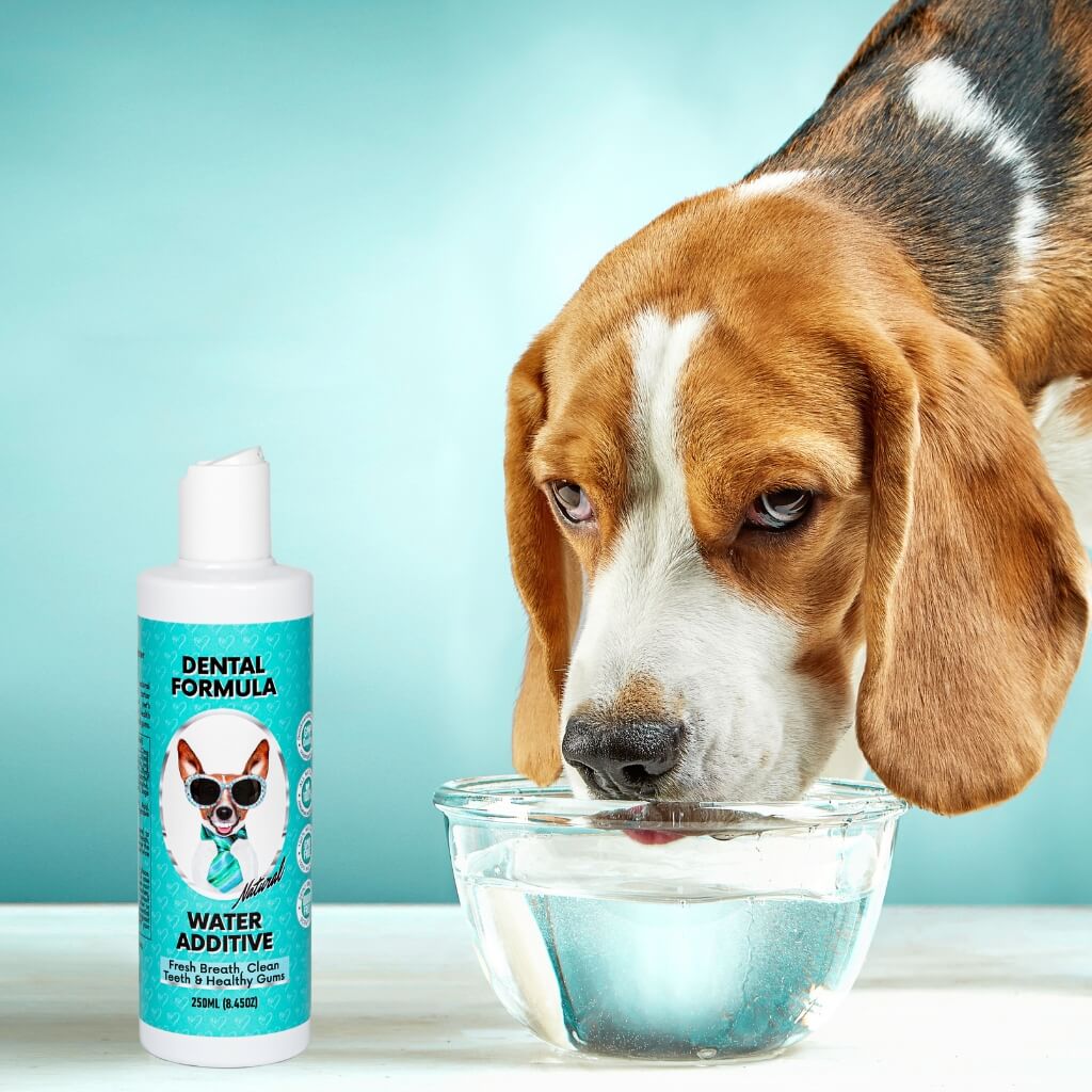 Dental Formula Water Additive - NutriPaw