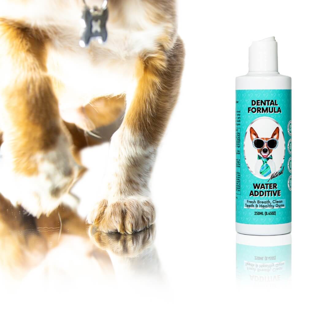 Dental Formula Water Additive - NutriPaw