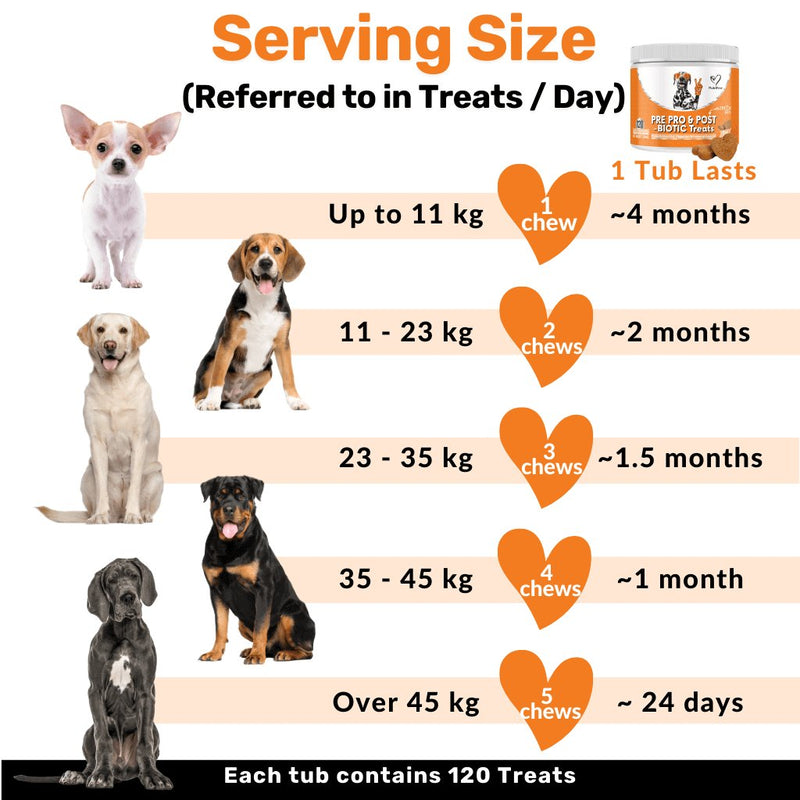 Pre, Pro & Postbiotic Digestive Treats - NutriPaw