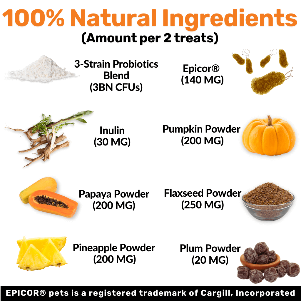 Pre, Pro & Postbiotic Digestive Treats - NutriPaw