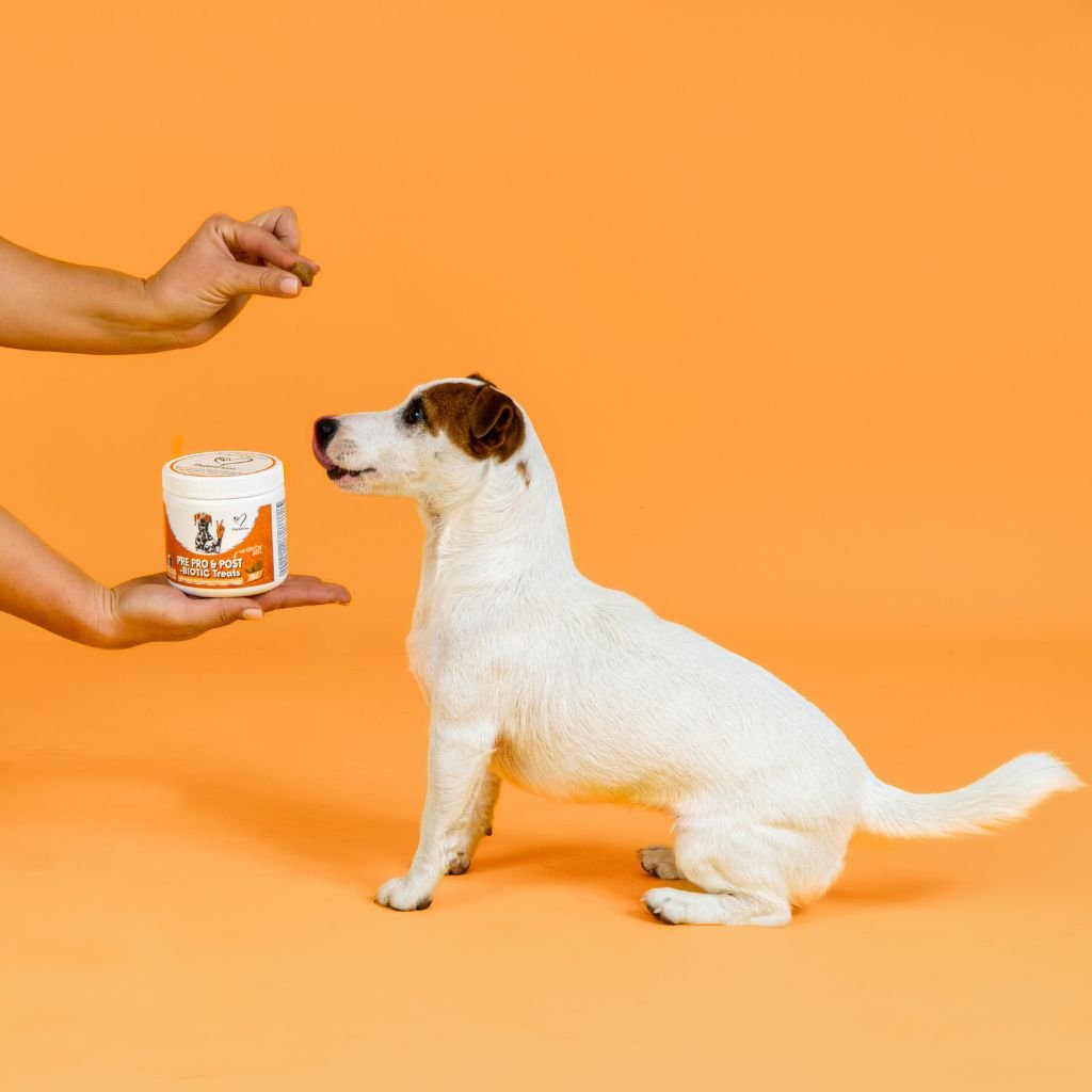 Pre, Pro & Postbiotic Digestive Treats - NutriPaw