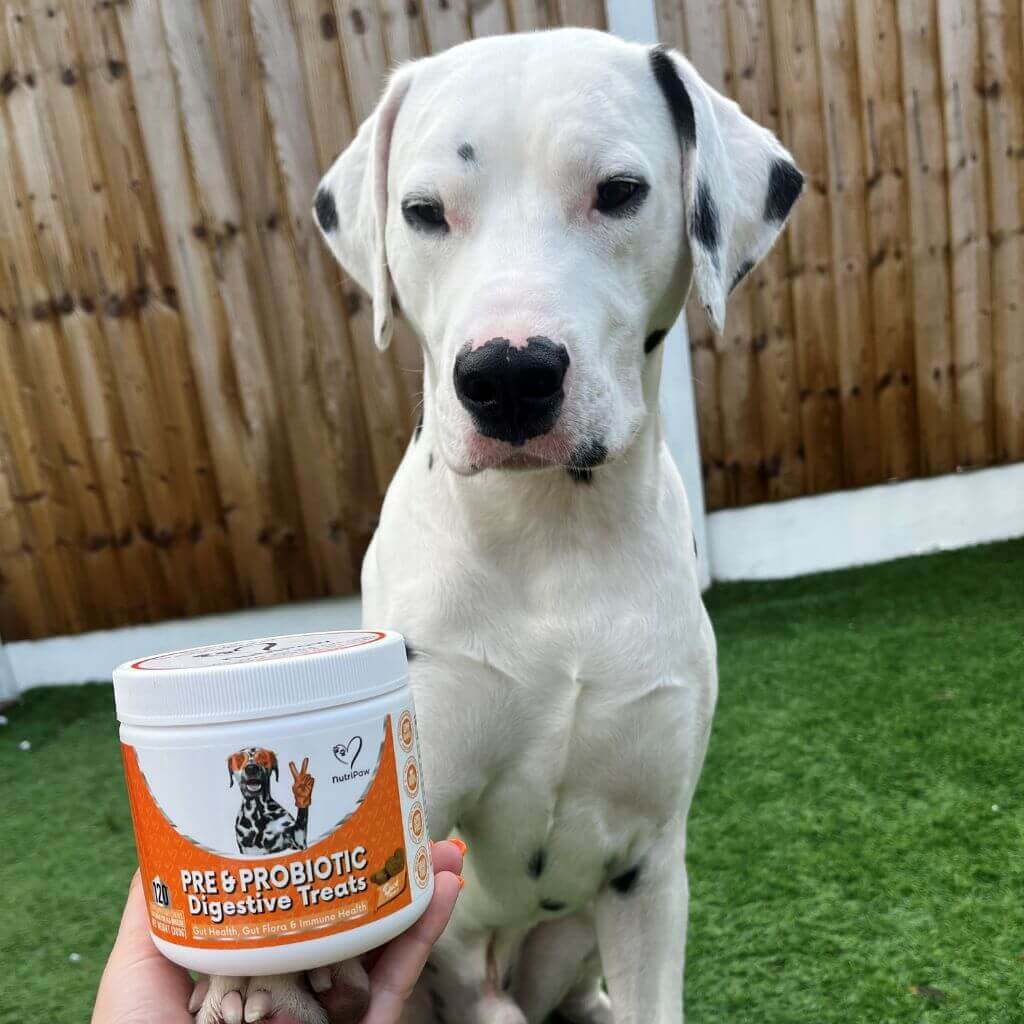 Prime Vitality Pack - NutriPaw