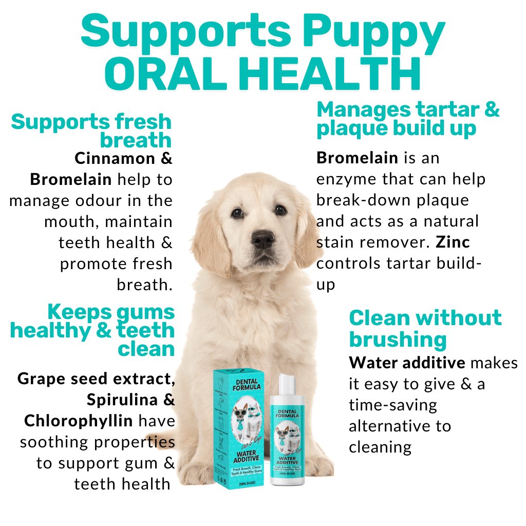 Proactive Wellness Pack - NutriPaw