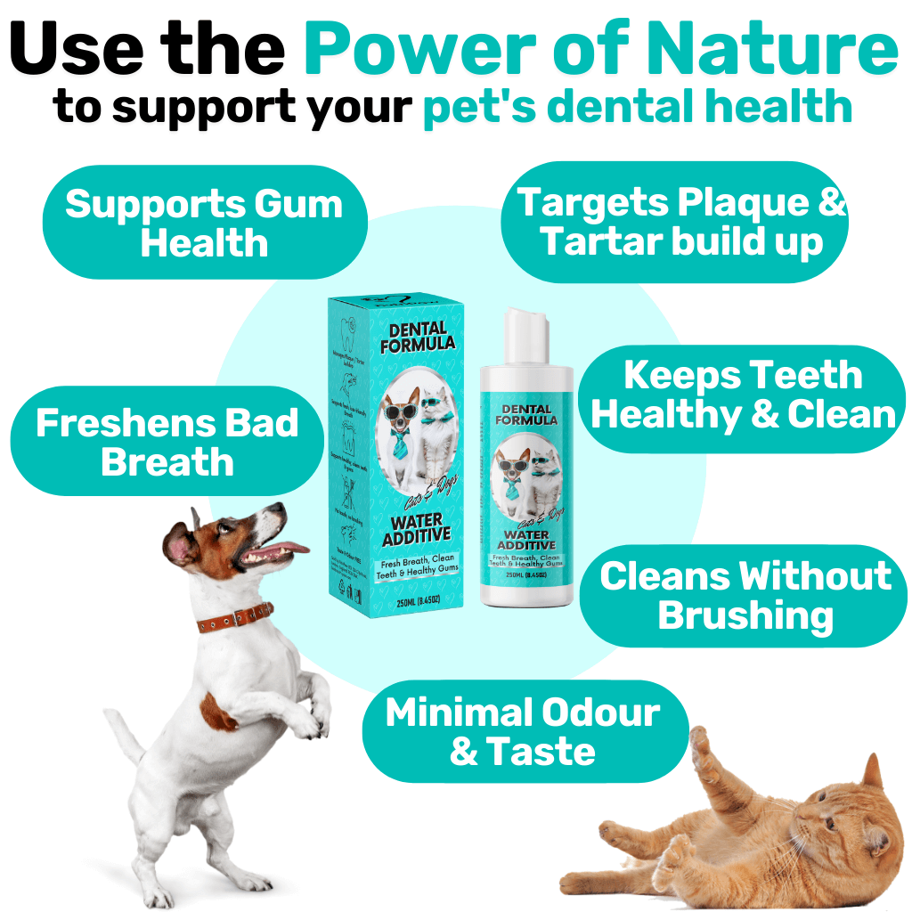 Proactive Wellness Pack - NutriPaw