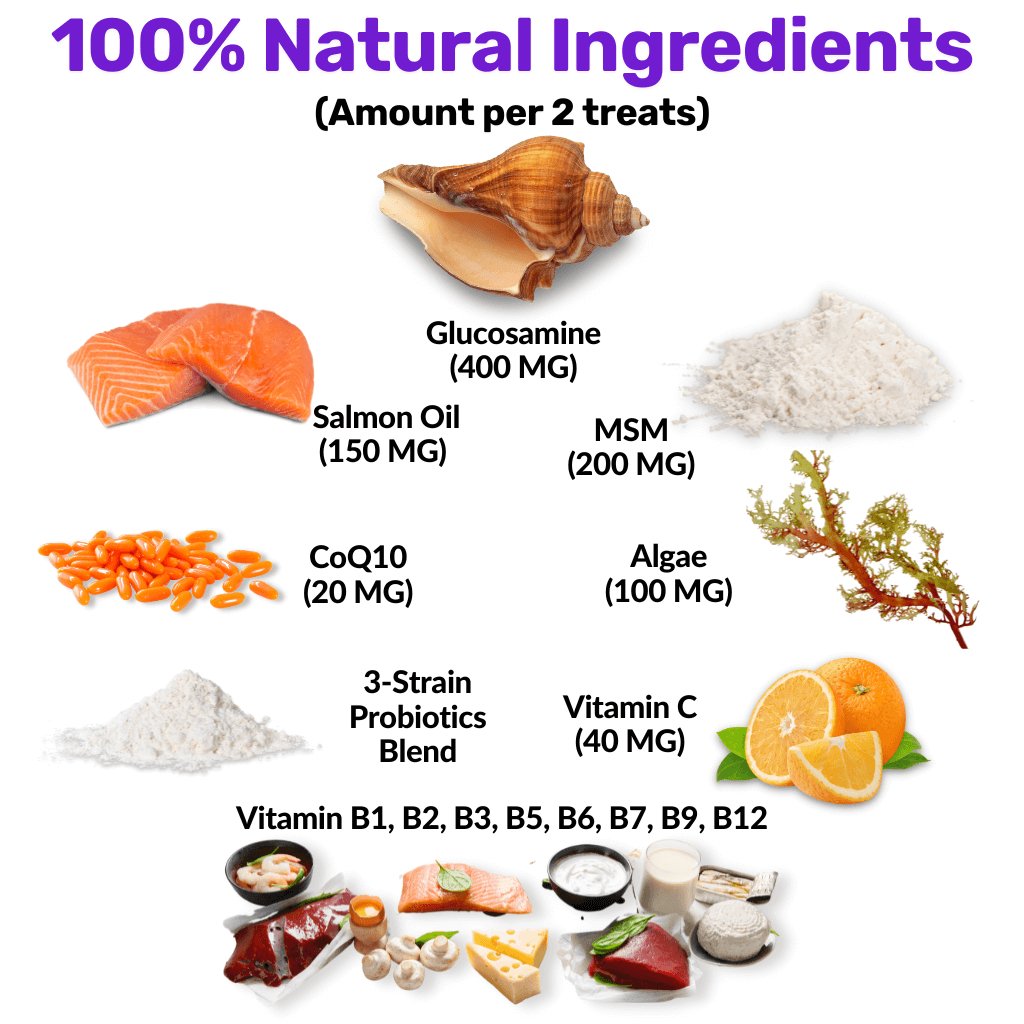 Proactive Wellness Pack - NutriPaw