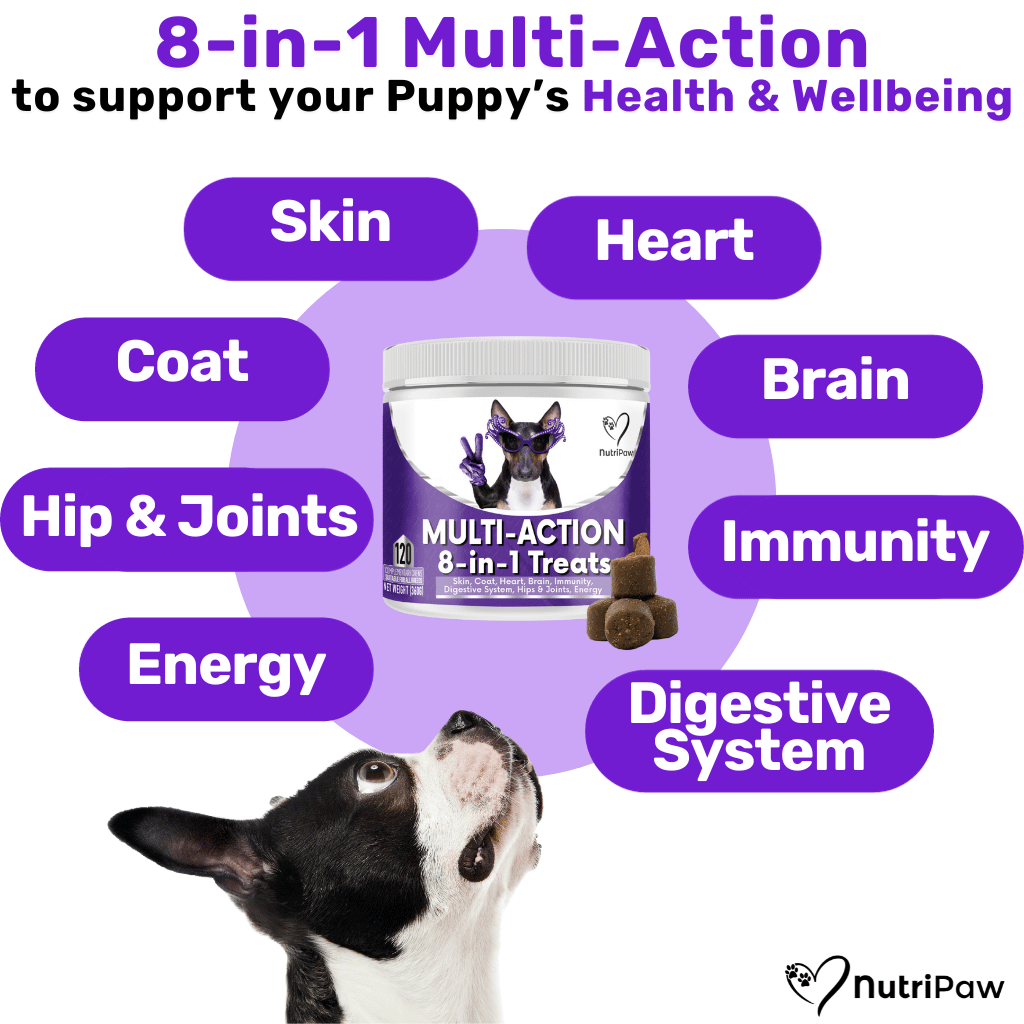 Proactive Wellness Pack - NutriPaw