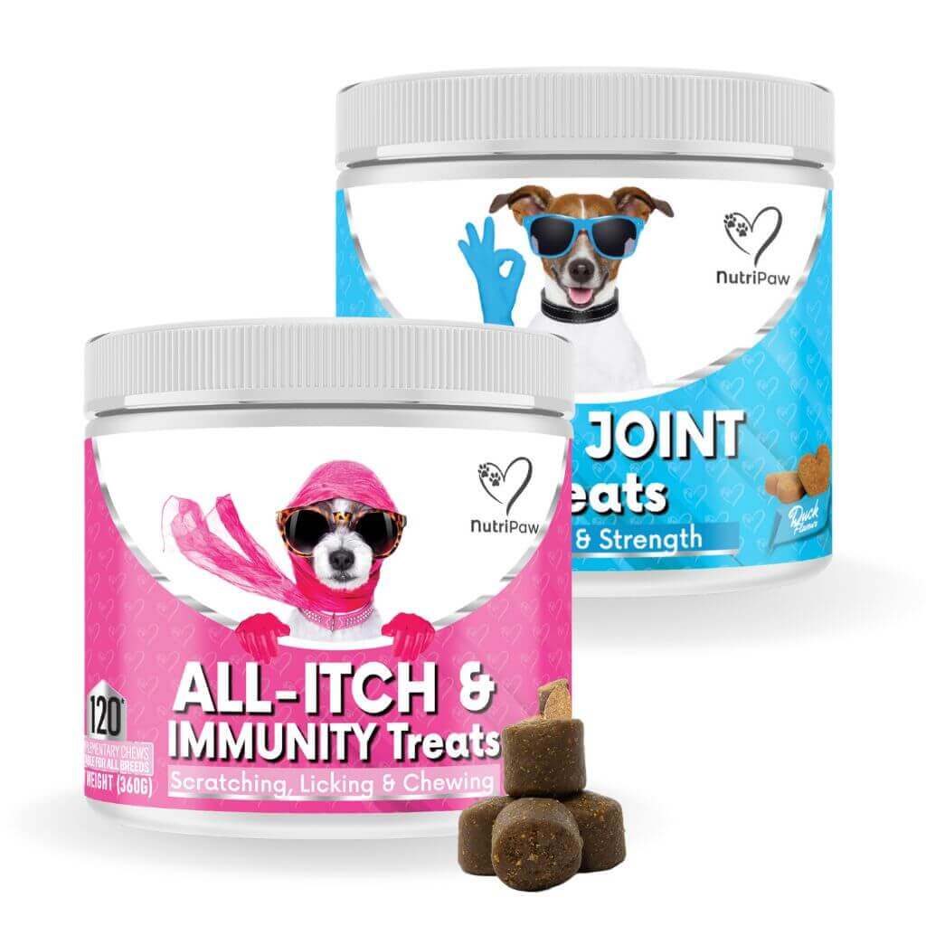 Skin & Bones Kit - NutriPaw