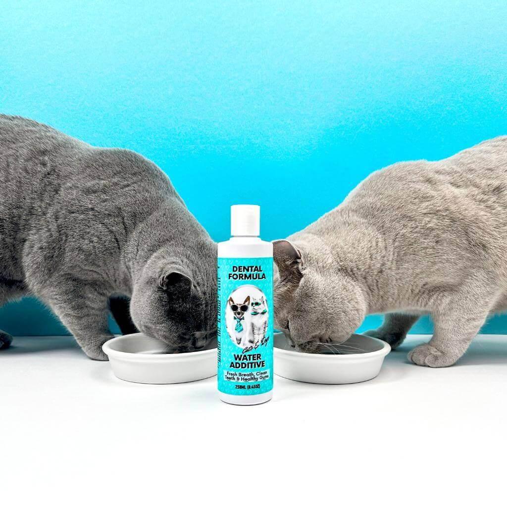 Teeth, Gums & Tums Kit - NutriPaw