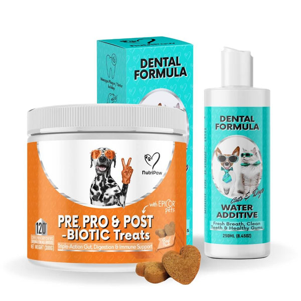 Teeth, Gums & Tums Kit - NutriPaw